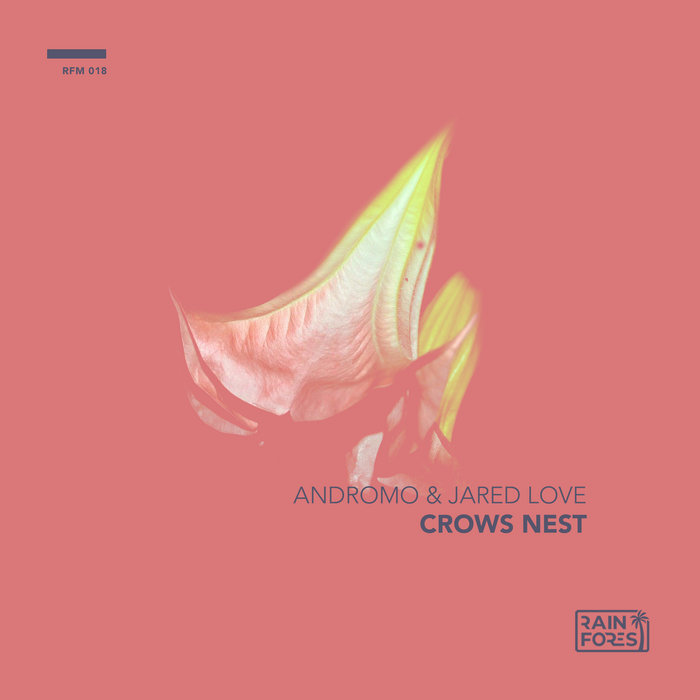 Crows Nest | Andromo, Jared Love | Rainforest Music