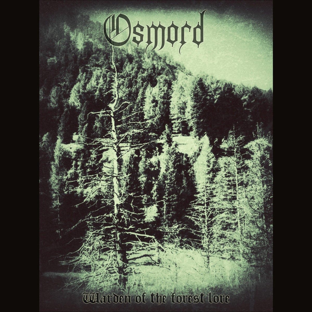 Warden of the forest lore | Osmord
