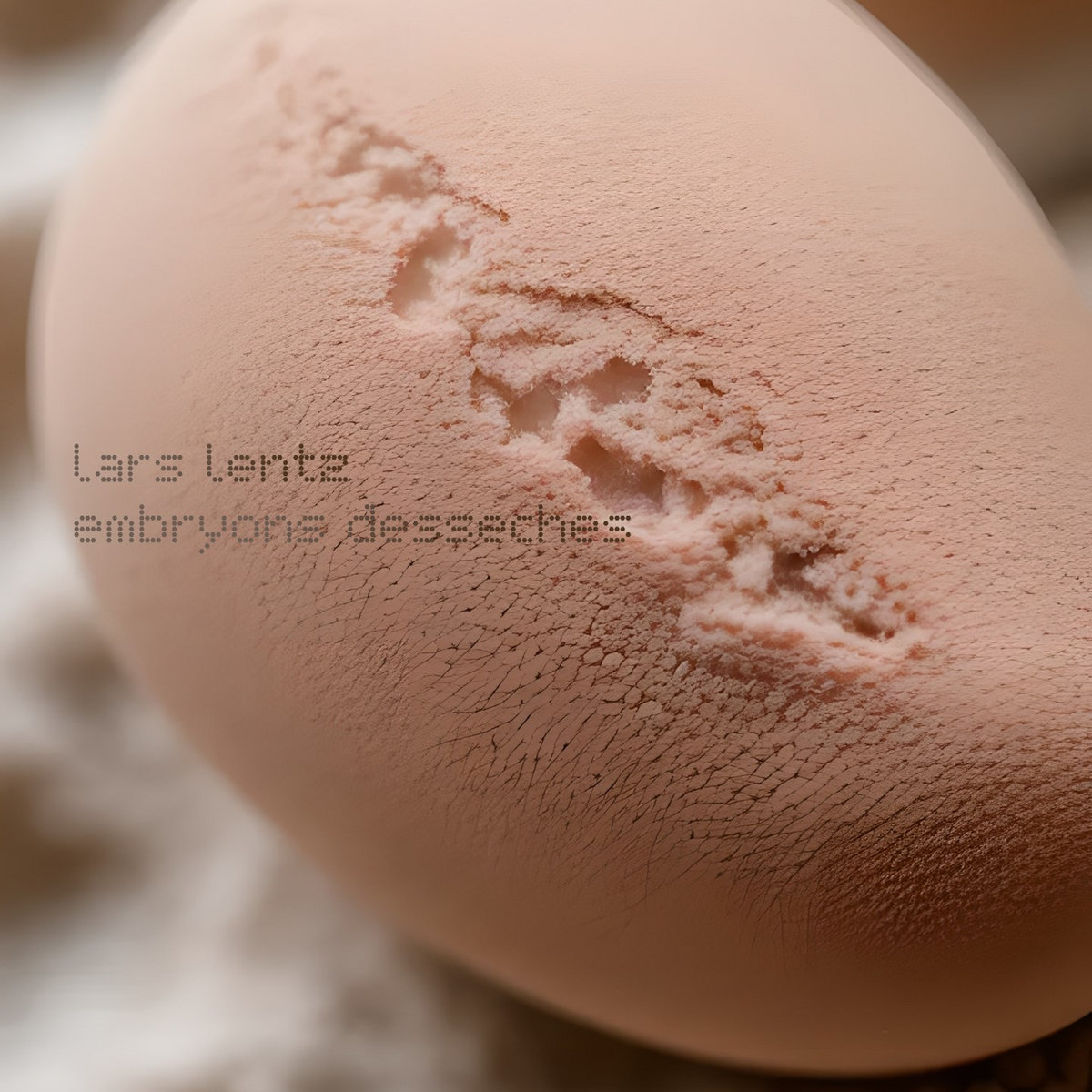 Embryons Desseches D Edriophthalma | Lars Lentz