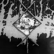 Vladimir Bootin' | Made Of Teeth | EVERYBODY LOSES records