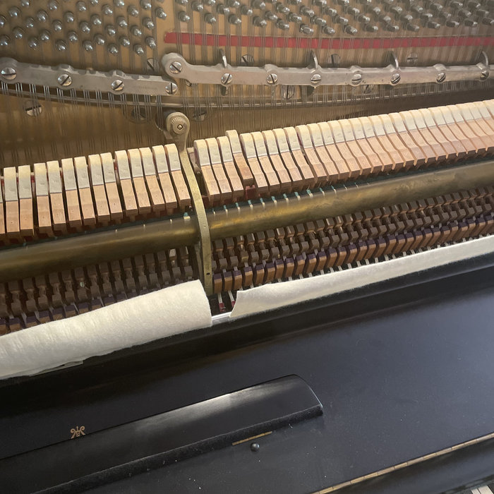 My least favorite things | Bug_Keys