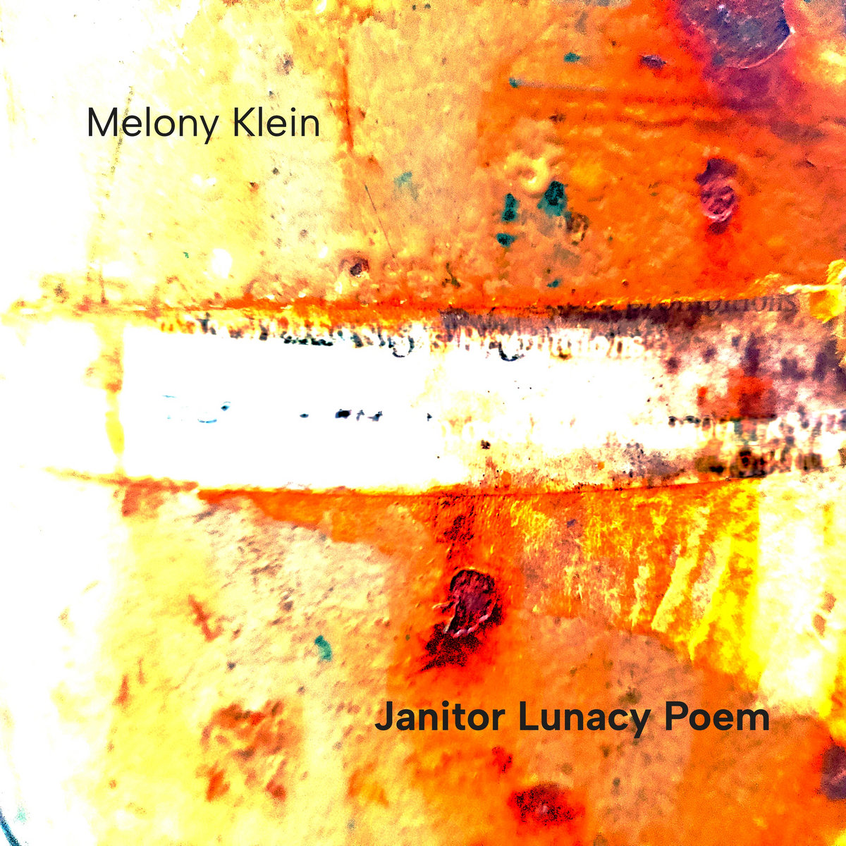 Janitor Lunacy Poem | Melony Klein