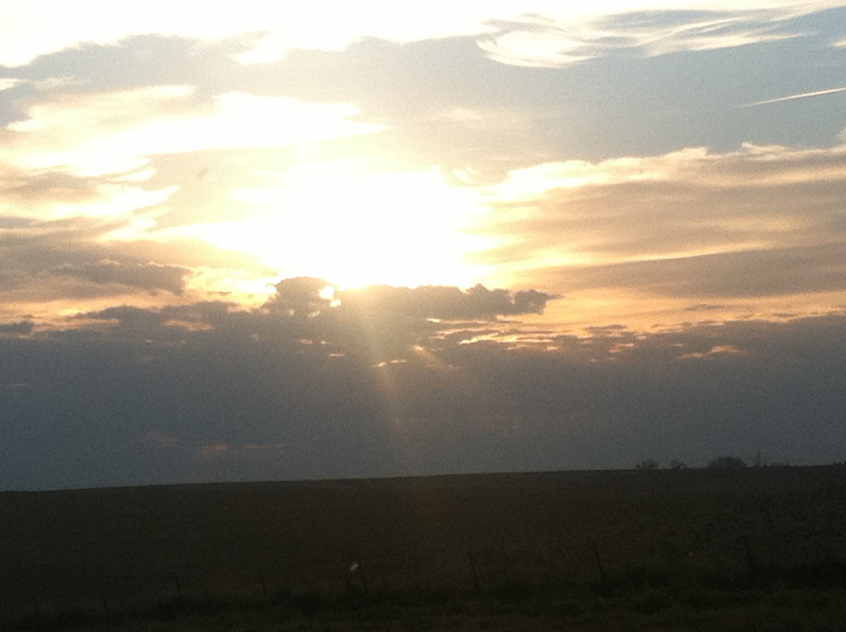 Majesty | James Goodlett