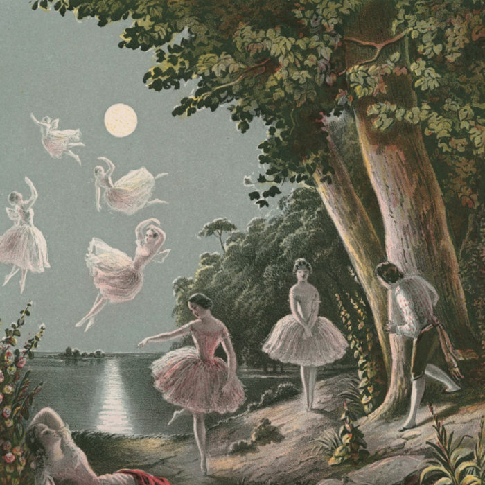 Dance of the Fairies | The Fairy