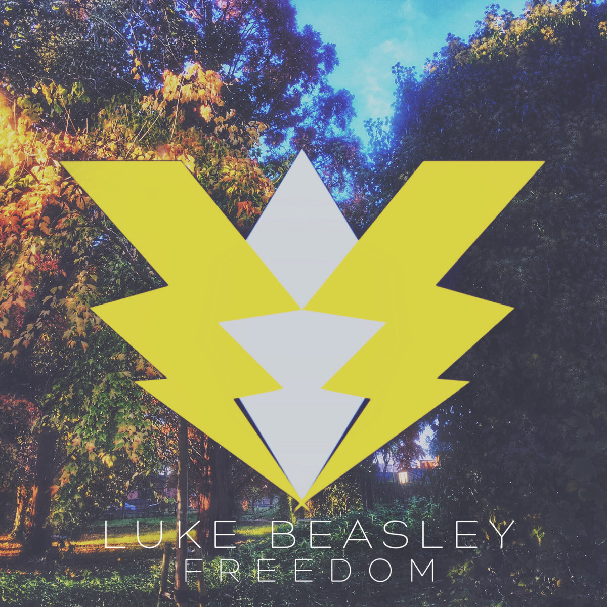 FREEDOM | Luke Beasley