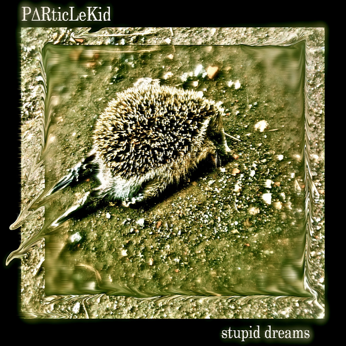 Stupid Dreams | Particle Kid