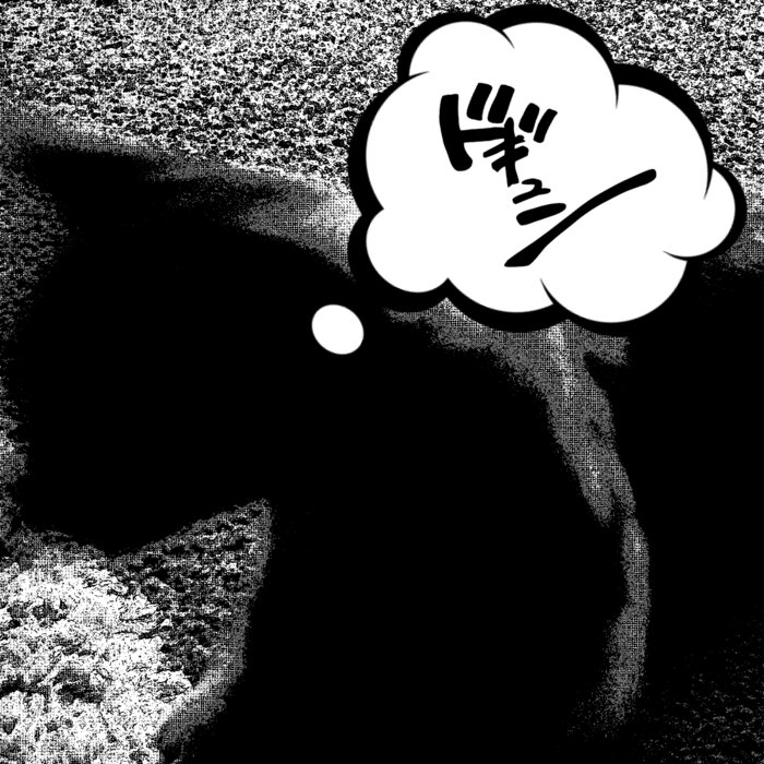 звёздный кот (single) | tan takatan