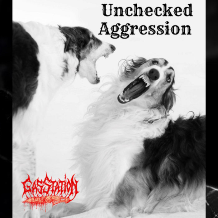Unchecked Aggression | Gas Station Pocketknife