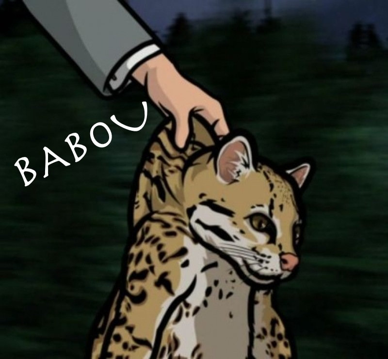Babou The Ocelot Wallpaper