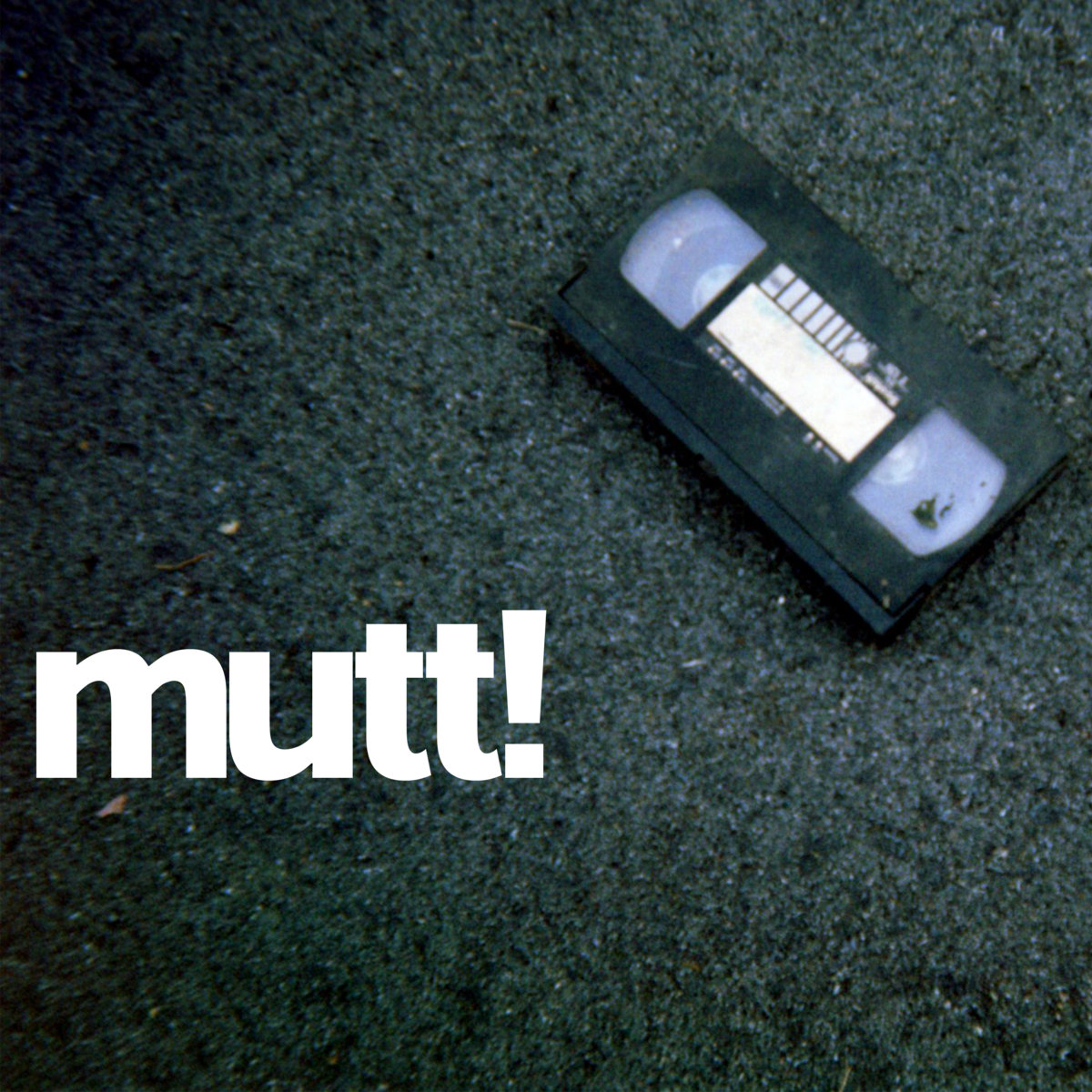 Mutt! Plays Every Single Song That Starts With W | Mutt!