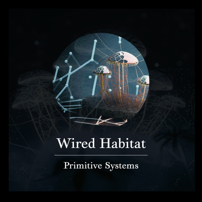 Primitive Systems | Wired Habitat