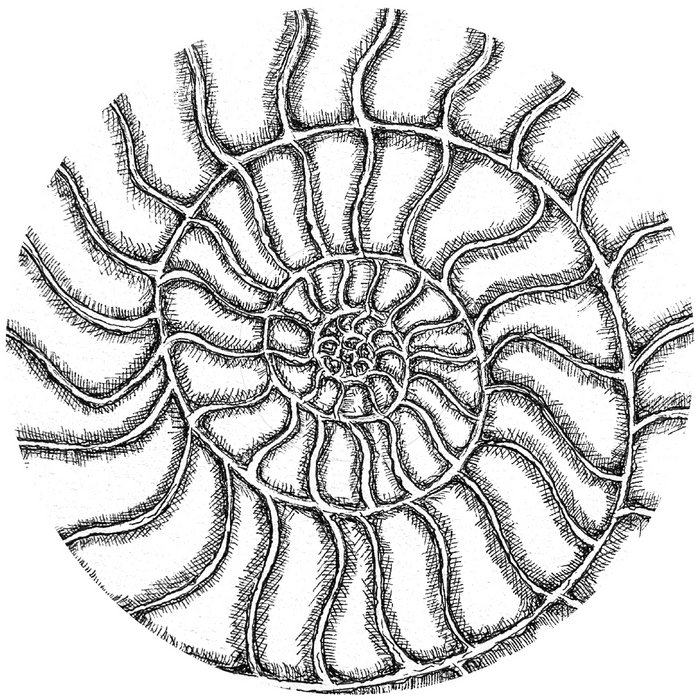 Abyssal | Border One