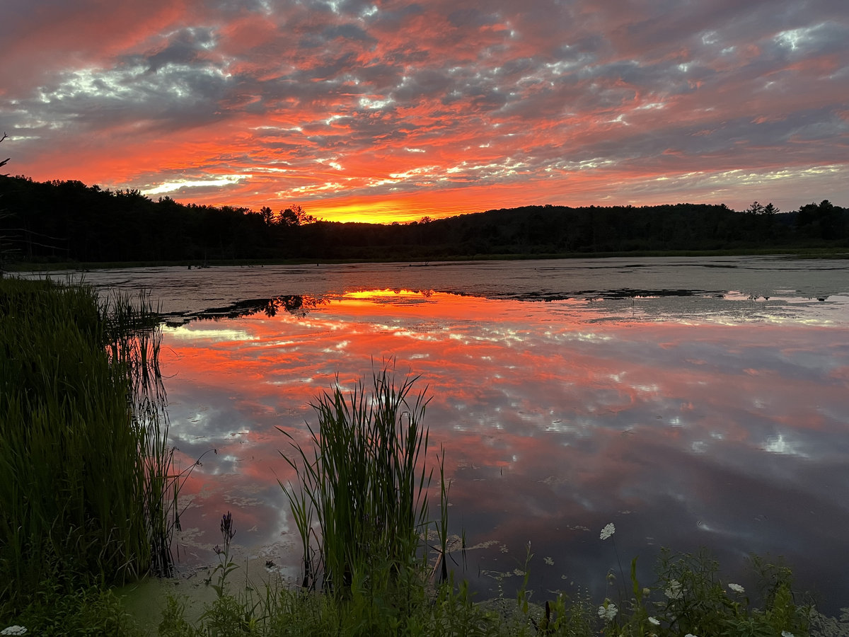 Day into Night | Michael Levenstein