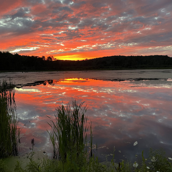 Day into Night | Michael Levenstein
