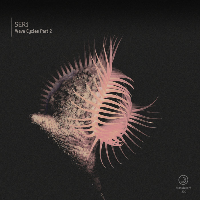 Wave Cycles Part 2 | SERi | Translucent