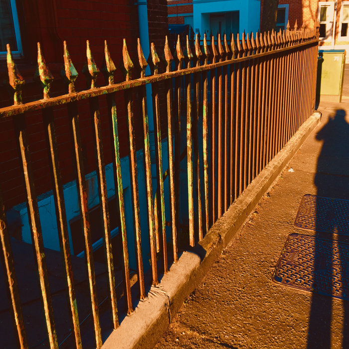 We're All Feeling It | S.P. Baker