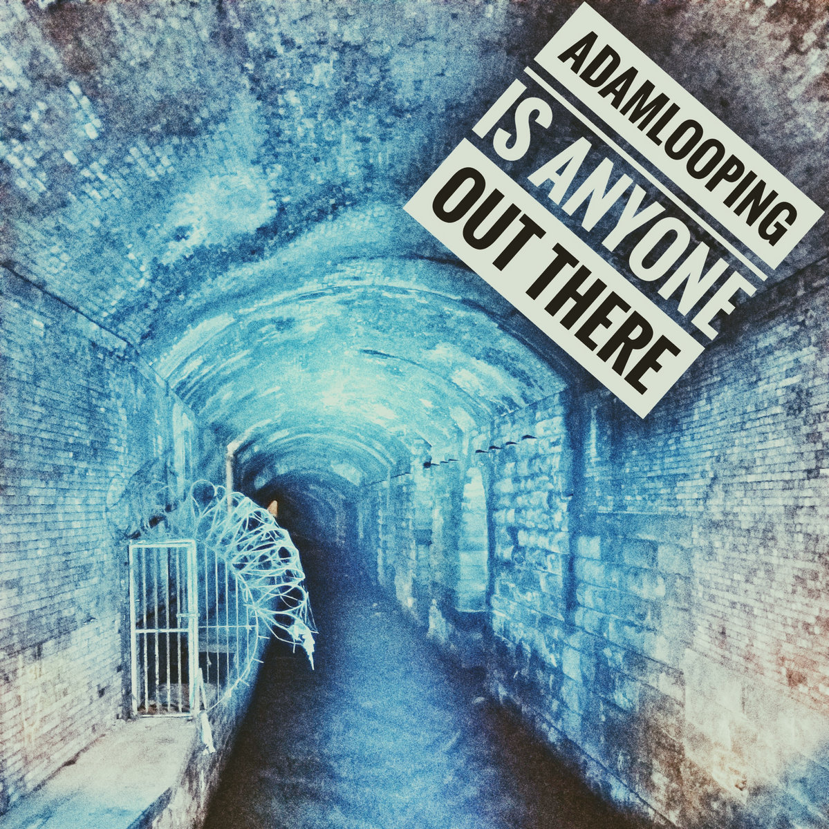 Is Anyone Out There (Remastered) | adamlooping
