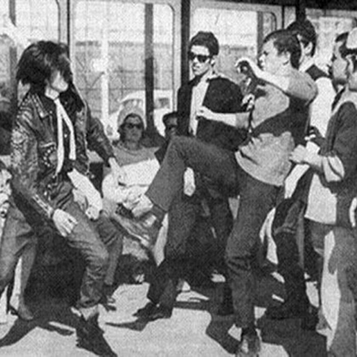 Punch Pugs | Ryan Bloomer | New Forces