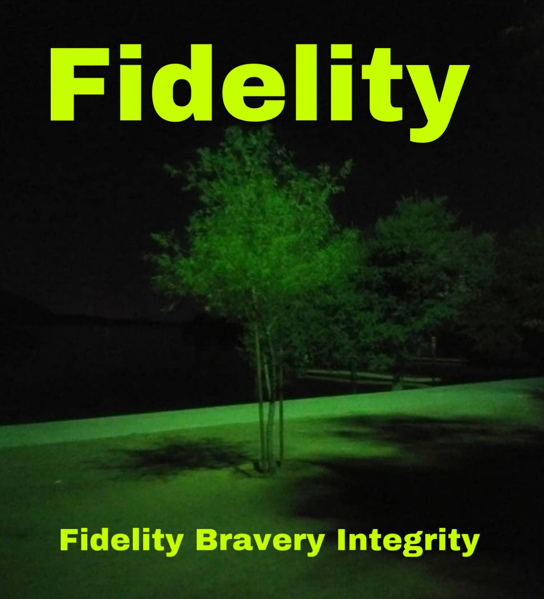 Fidelit Bravery integrity | Fidelity | fidelity