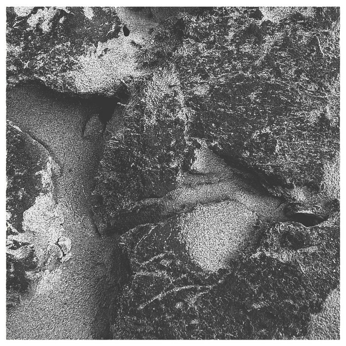 (VARIATION) | CEI HILL | KIKS/GFR LABEL