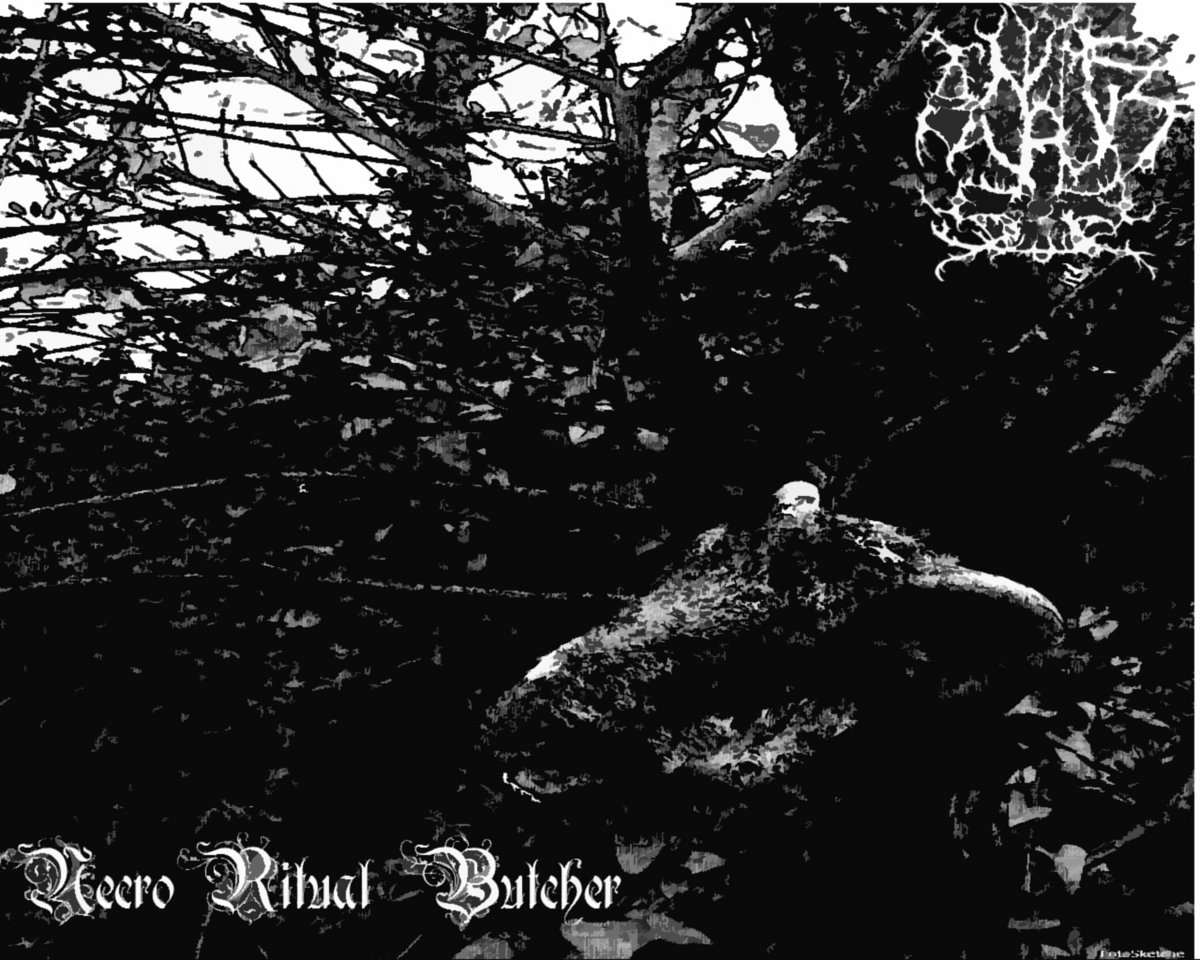Necro Ritual Butcher | Anafis