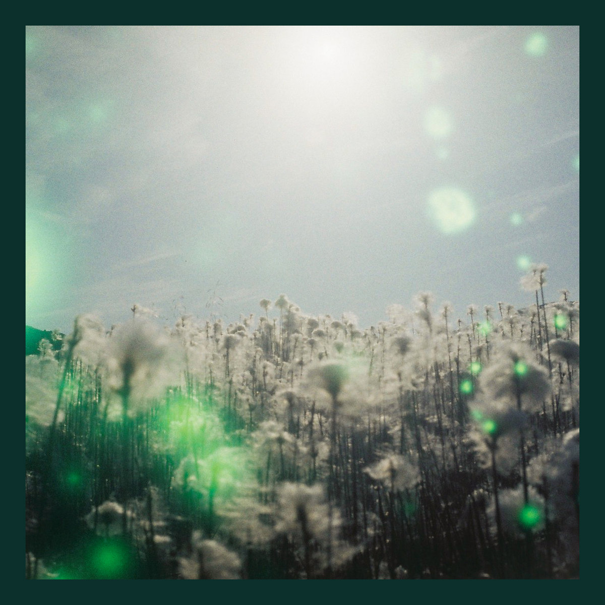 Asphodel Meadows | Lunaria