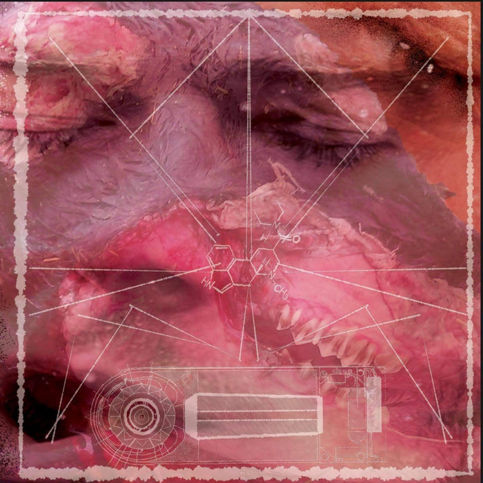 The Heroic Dose | BLK OPS