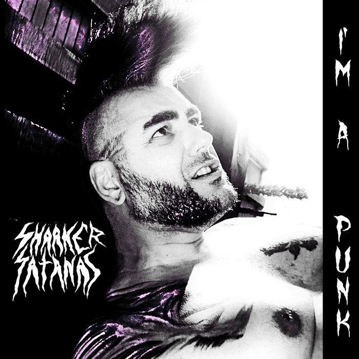 I'm a punk! | SHAAKER SATANAS | dheadshaker