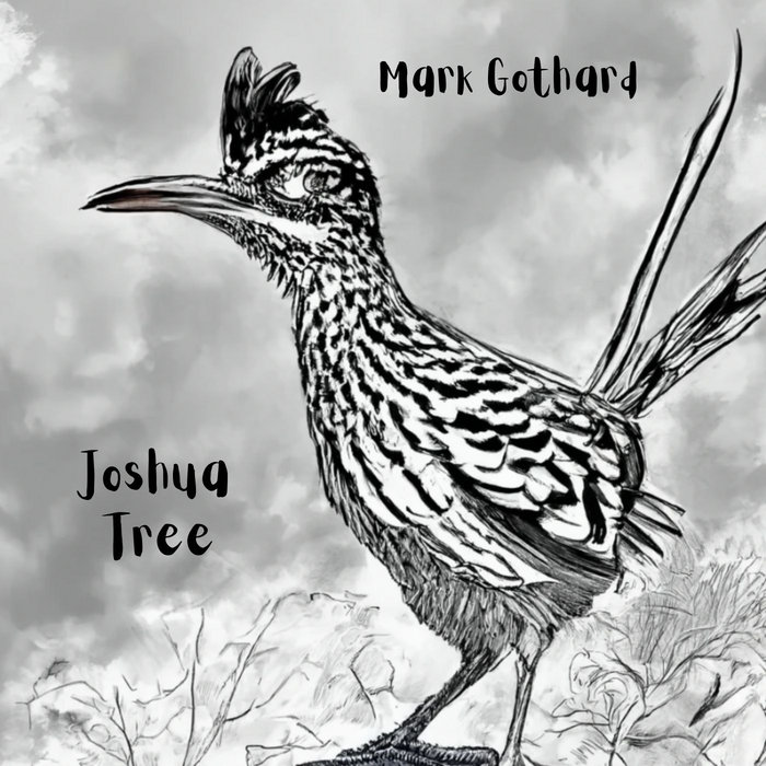 Joshua Tree | Mark Gothard