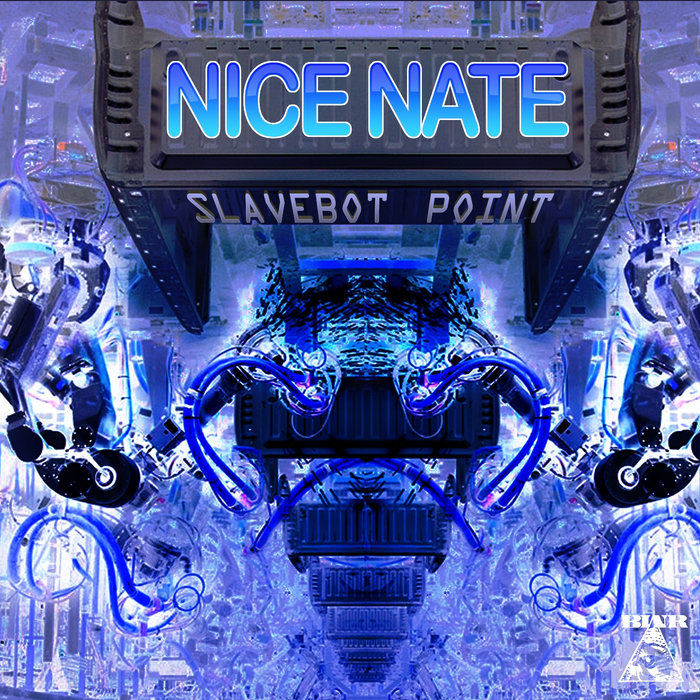 Slavebot Point | Nice Nate