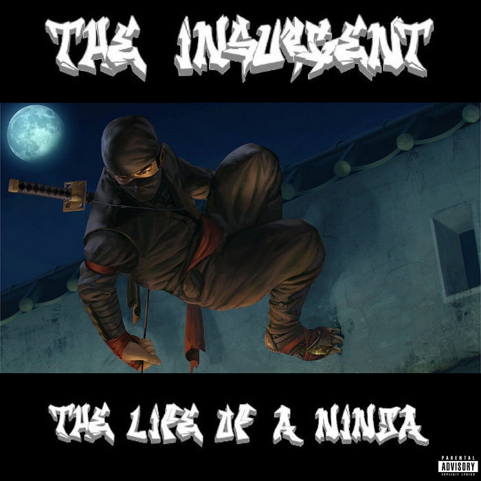 The Life Of A Ninja | The Insurgent