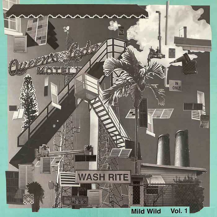 Vol. 1 | Mild Wild