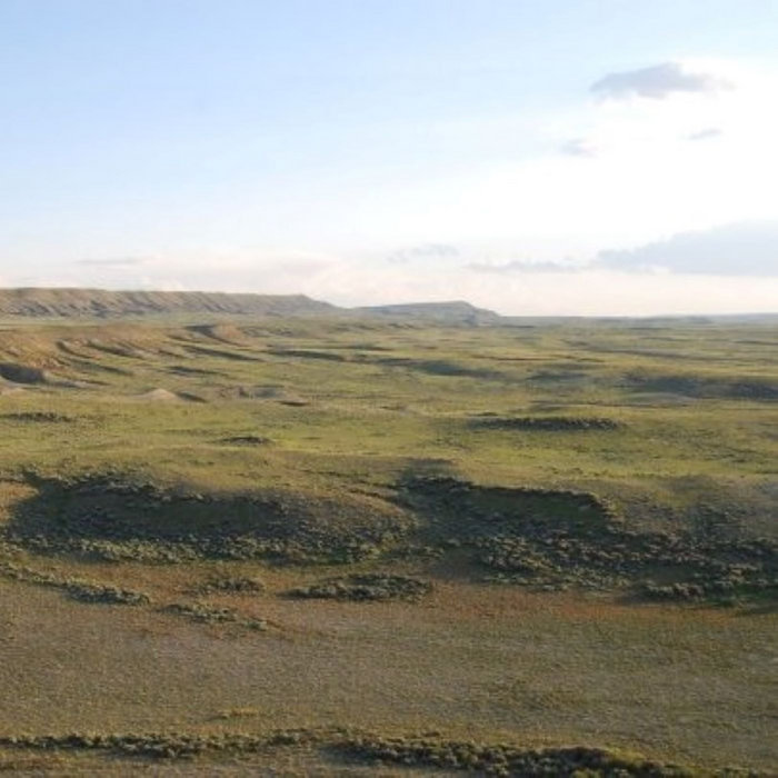 Podular Meditation | Tim Held | Self Center Records