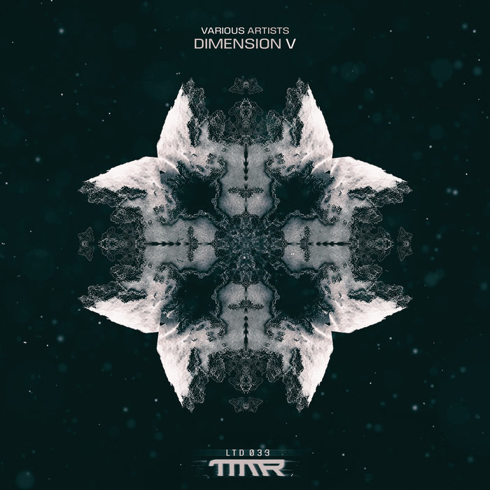 Dimension V | Various Artists | TMM Recordings