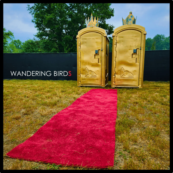 Wandering Birds | Wandering Bird