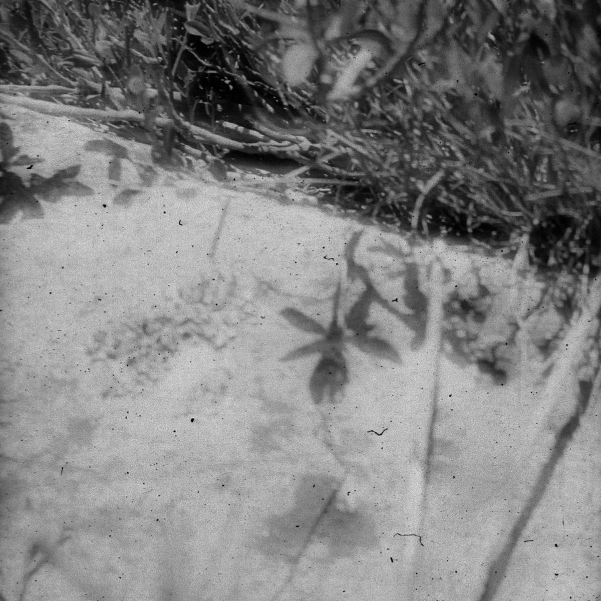 Nexus 3 | Various Artists | Peter Nagle