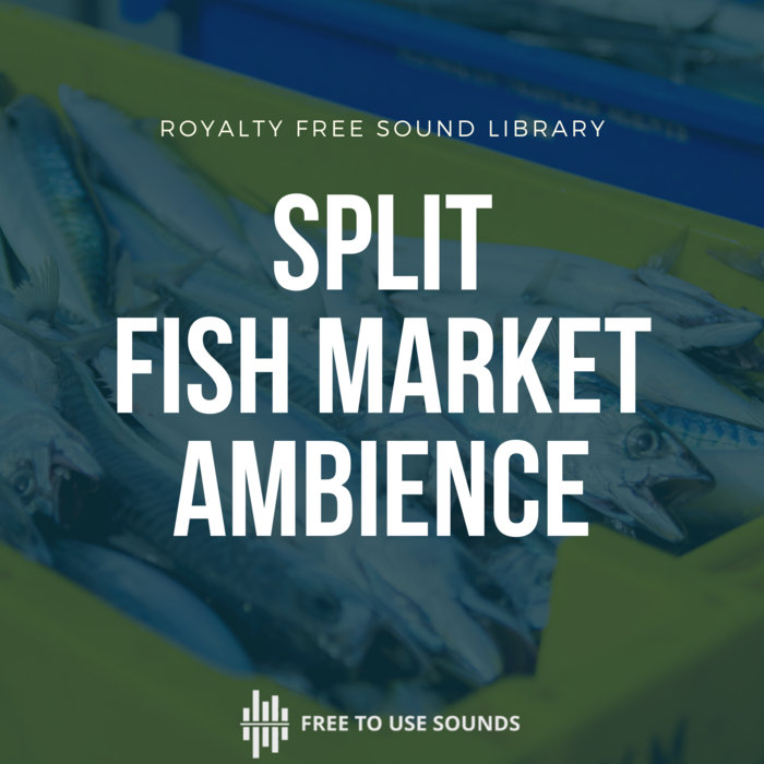Split Fish Market Ambience | Sounds Of Croatia | freetousesounds