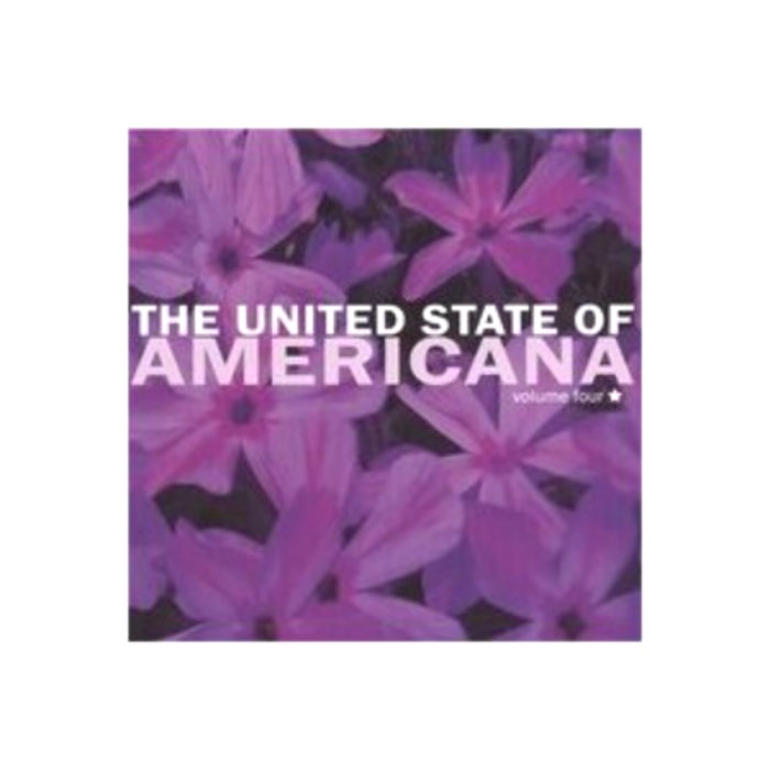 the united state of americana (single) | Jennifer Leonhardt