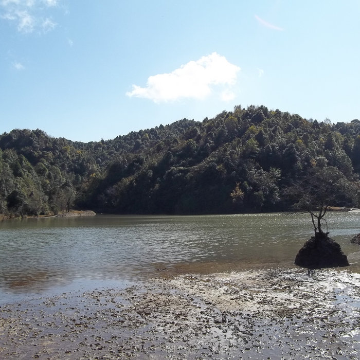 Free Download Movies In Hd Kachchi Sadak | Zimdimit | spirelarlis