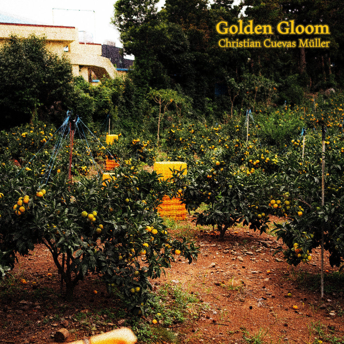 Golden Gloom | Christian Cuevas Müller