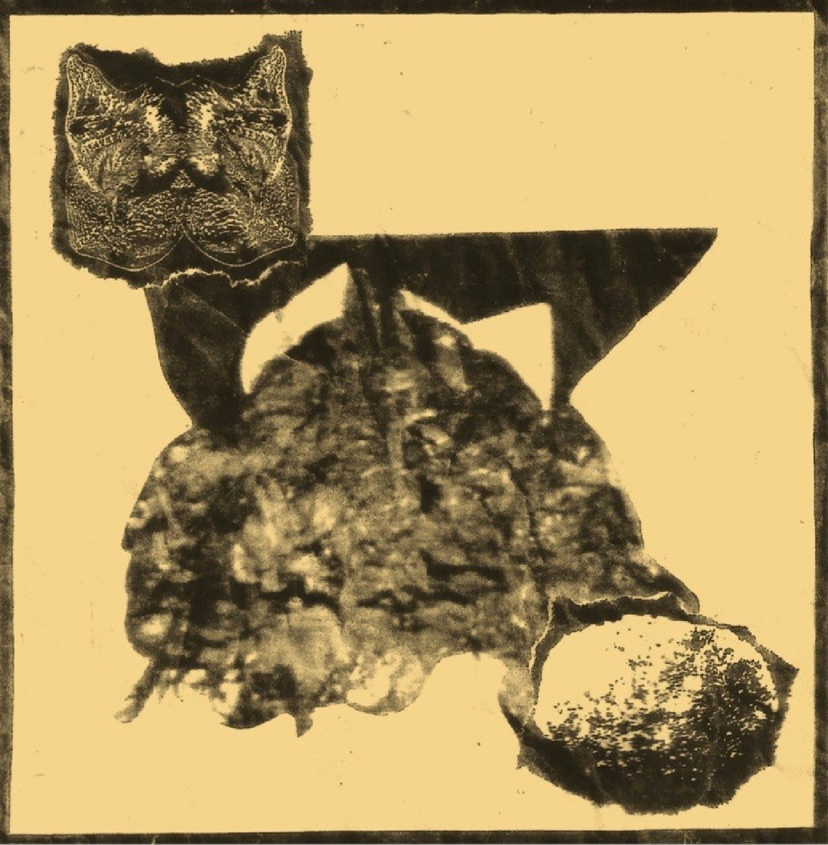 Split w/ Stercoraceous Copremesis Rhinorrhea | xCxFxBx