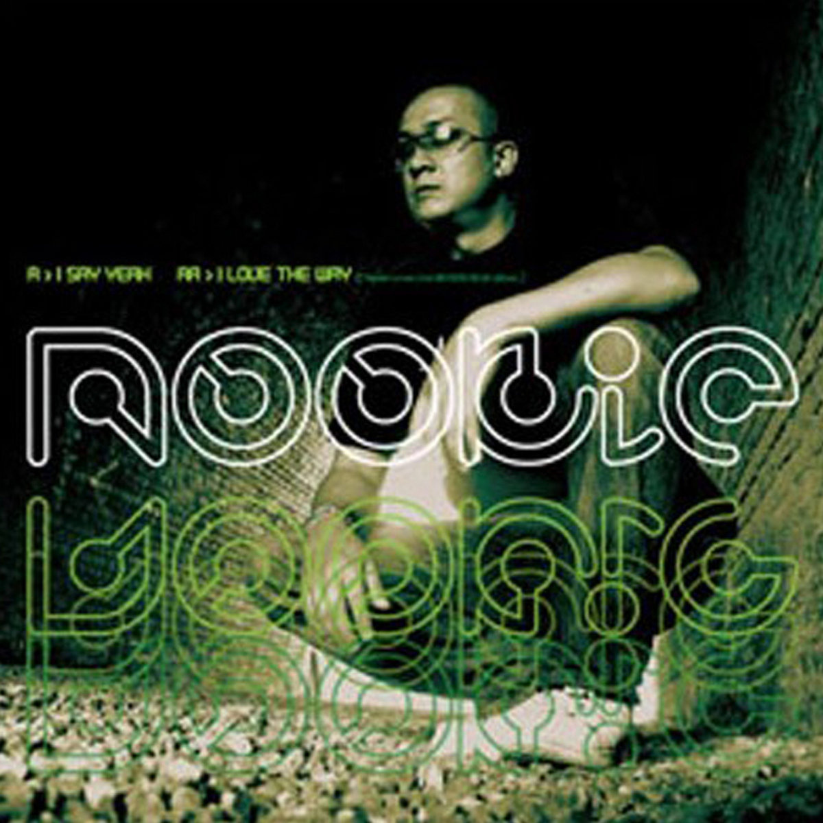 I Love The Way / I Say Yeah | Nookie