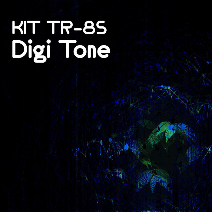 Digi Tone - Kit Roland TR8S | Kit : TR-8S