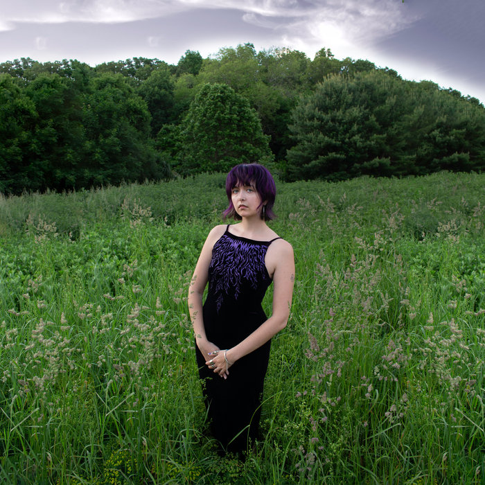 Fool's Spring | Maddy Wood