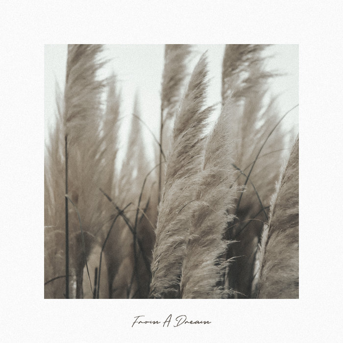 From A Dream | oliviaway