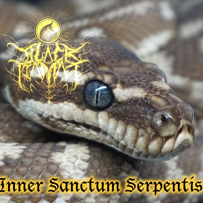 INNER SANCTUM SERPENTIS | Black Tiamat