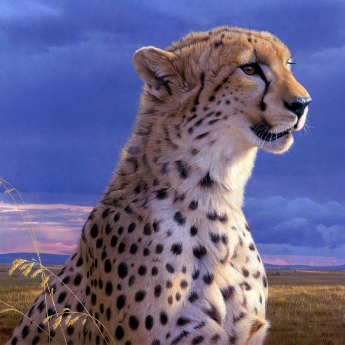 Fonce à Fond | Le Prof