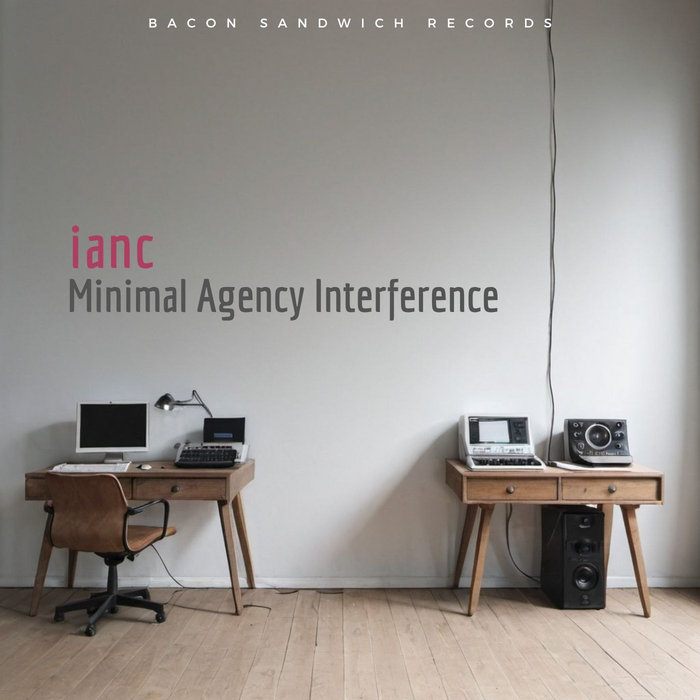 Minimal Agency Interference | Ian C