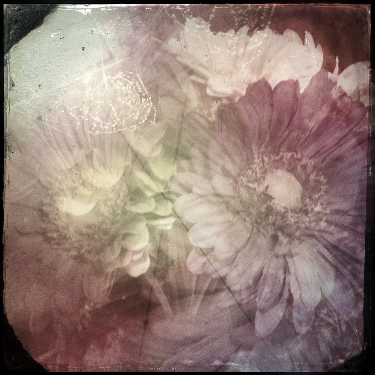 the Sound of Hollowing | Dave Nasty | Vile Maxim Records