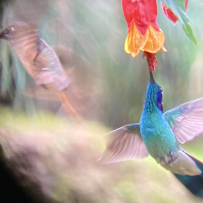 whirling in wonder (EP) | robin howarth